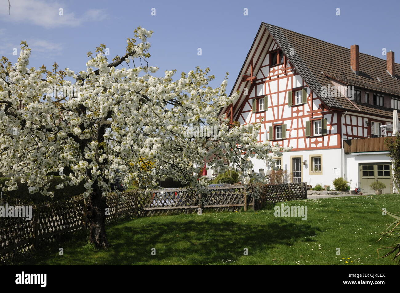 house building tree Stock Photo - Alamy