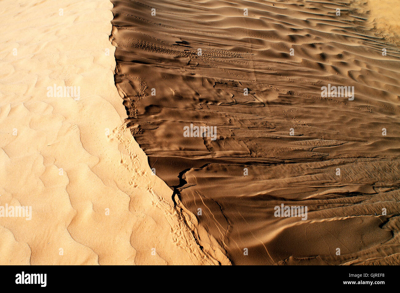 travel desert wasteland Stock Photo - Alamy
