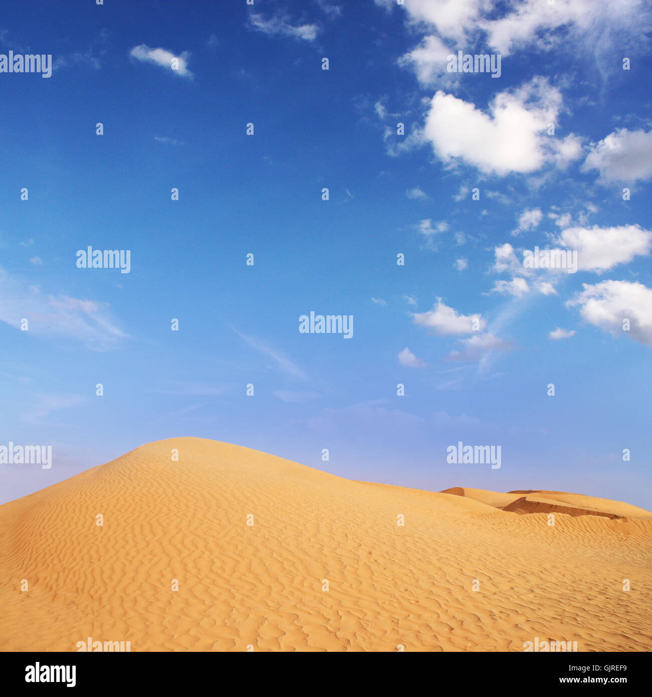 Border sahara desert hi-res stock photography and images - Alamy