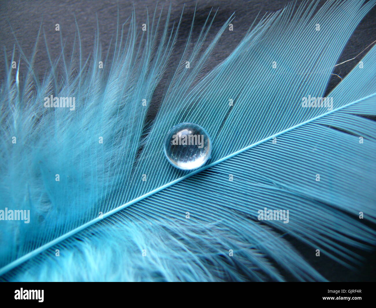 Big waterdrop hi-res stock photography and images - Alamy