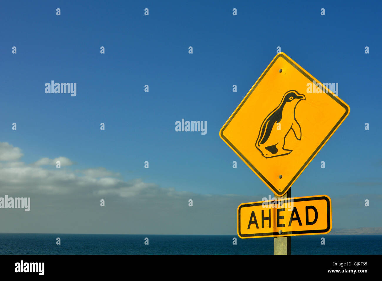 Warning sign for penguins hi-res stock photography and images - Alamy