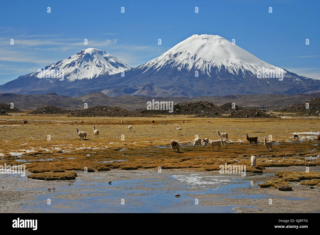 Parinacota volcano hi-res stock photography and images - Alamy