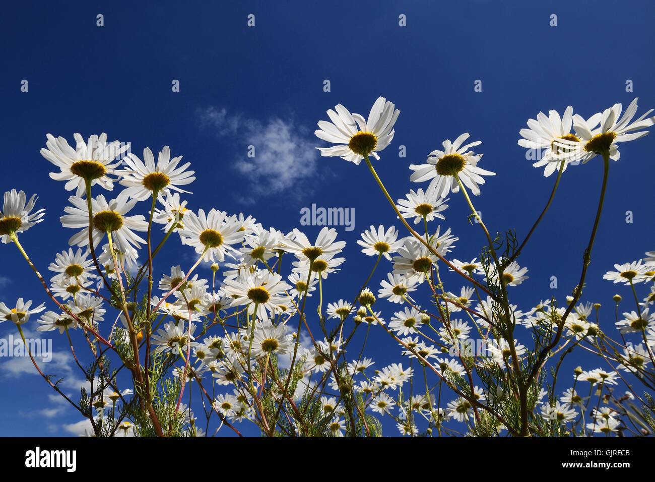 Hintergrundquot hi-res stock photography and images - Alamy