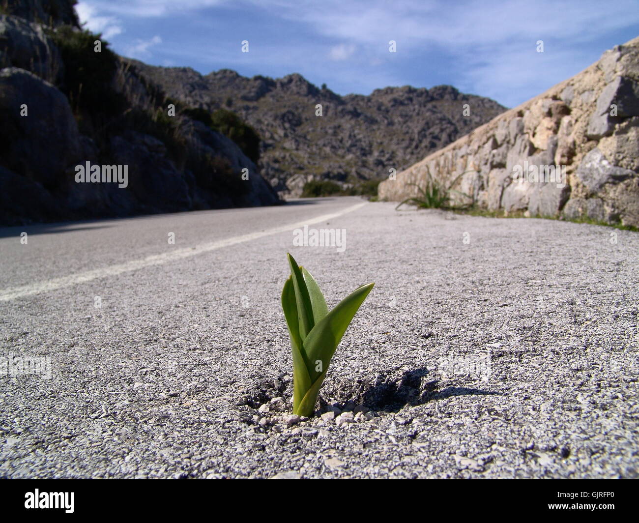 Strong breakthrough hi-res stock photography and images - Alamy