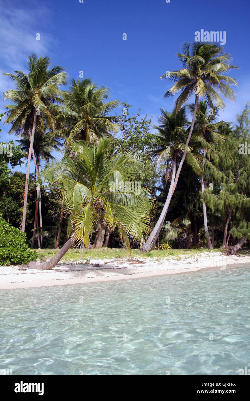 Nanuya lailai fiji hi-res stock photography and images - Alamy