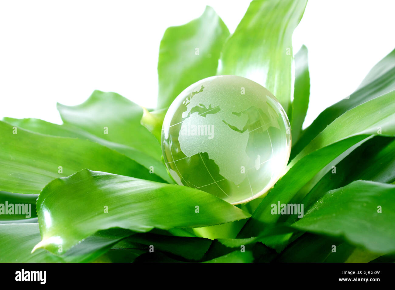 globe planet green plant conservation concept abstract globe planet ...