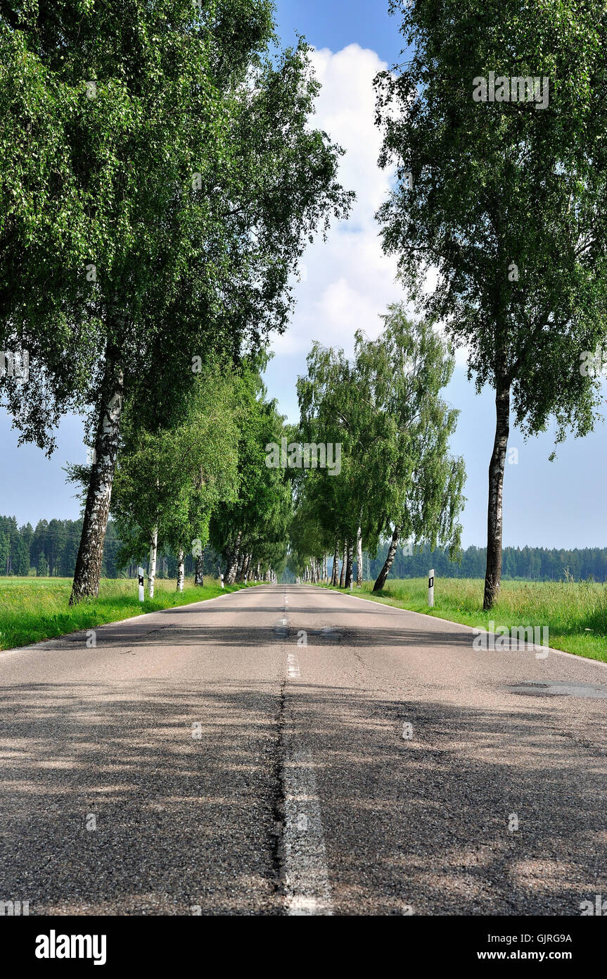 Center line hi-res stock photography and images - Alamy