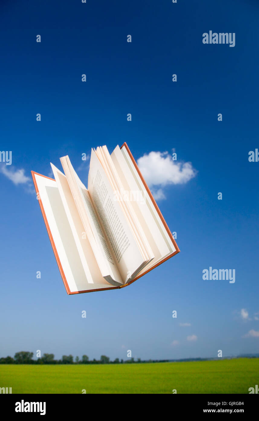 Flying flight fly flies hi-res stock photography and images - Alamy