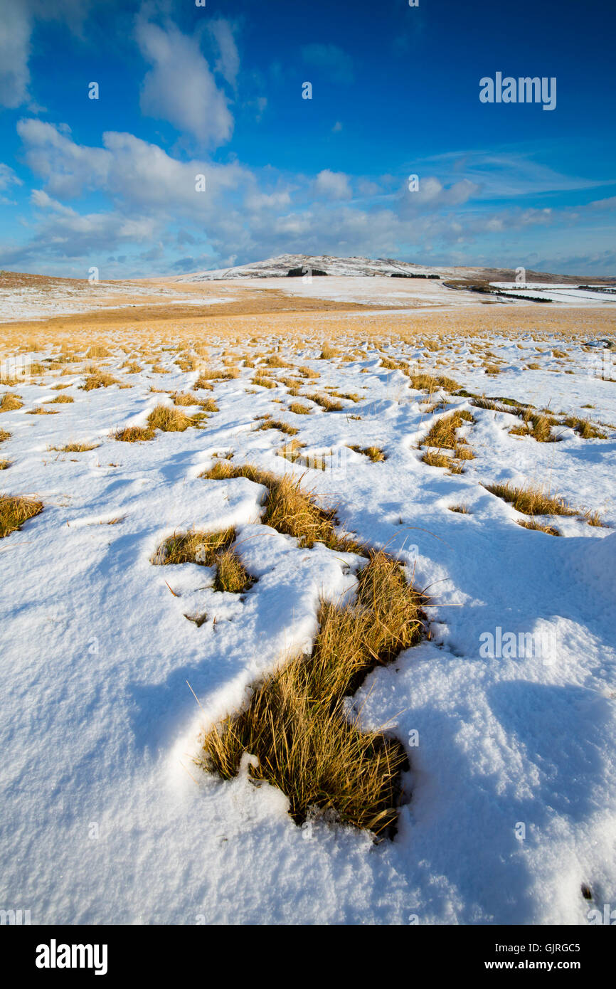 Brown Willy; Snow; Bodmin Moor; Cornwall; UK Stock Photo - Alamy