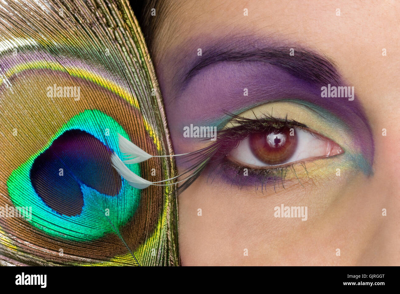 eye organ peacock butterfly Stock Photo - Alamy