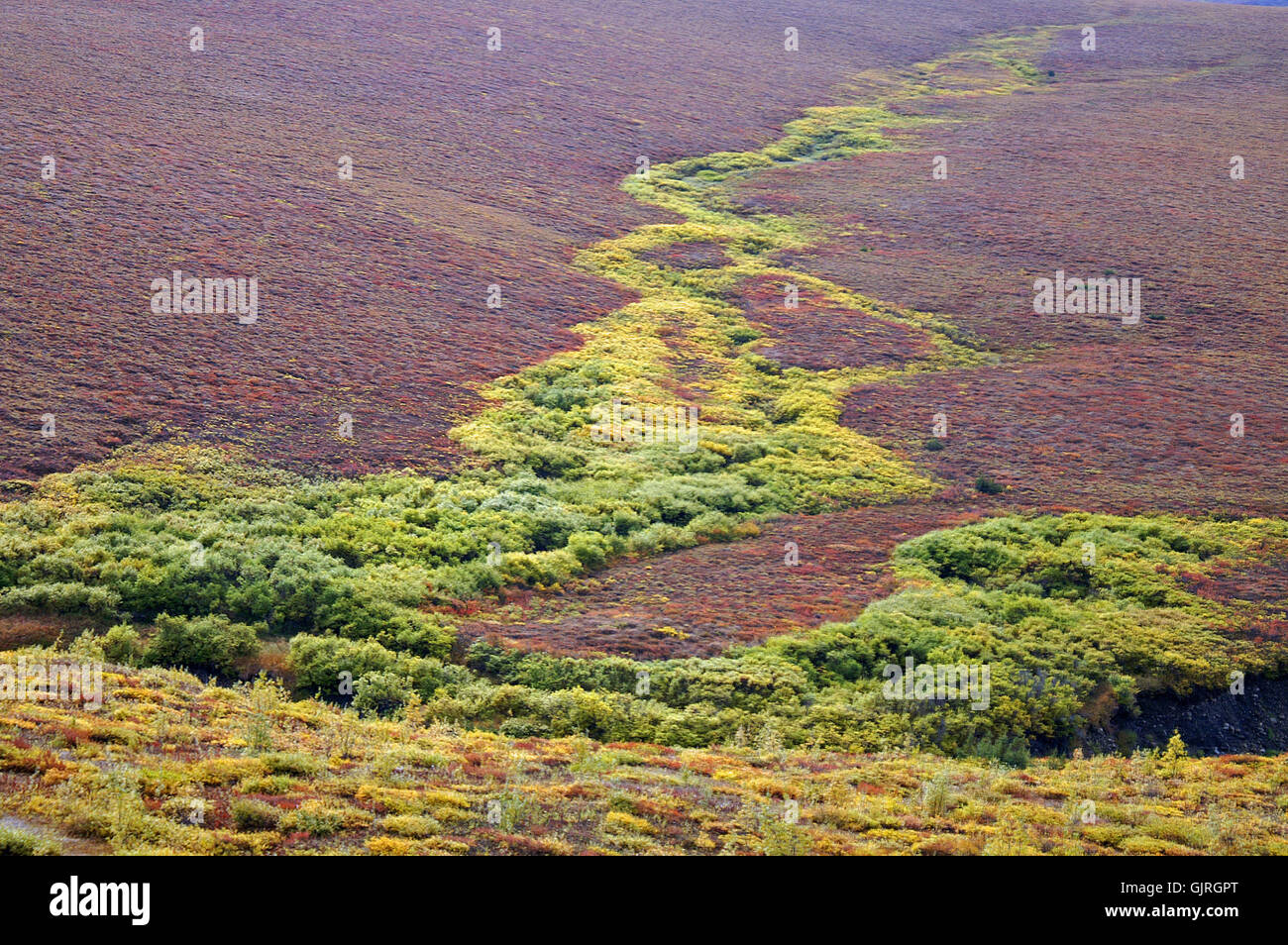 Colour and structure hi-res stock photography and images - Alamy