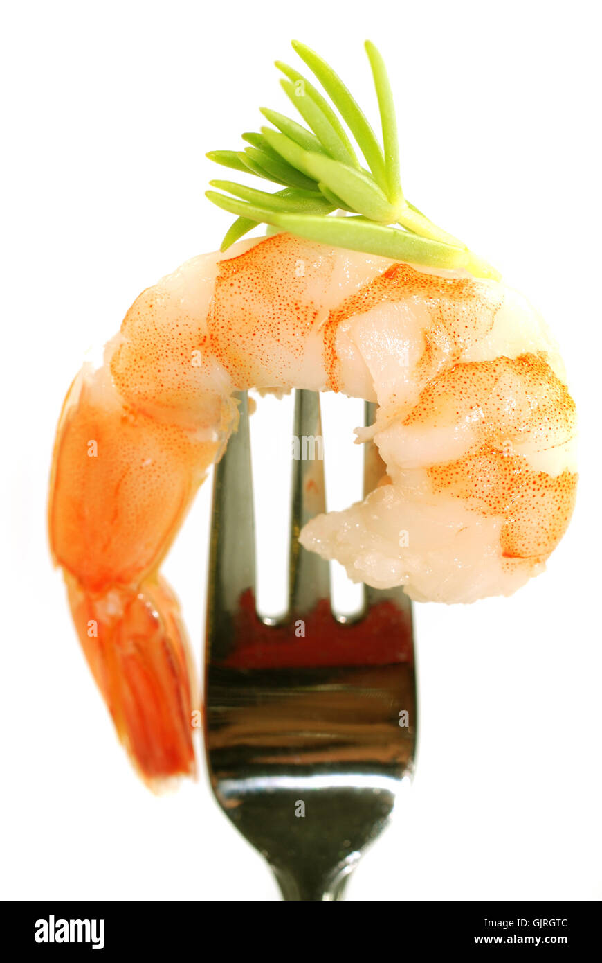 Scampi animal hi-res stock photography and images - Alamy