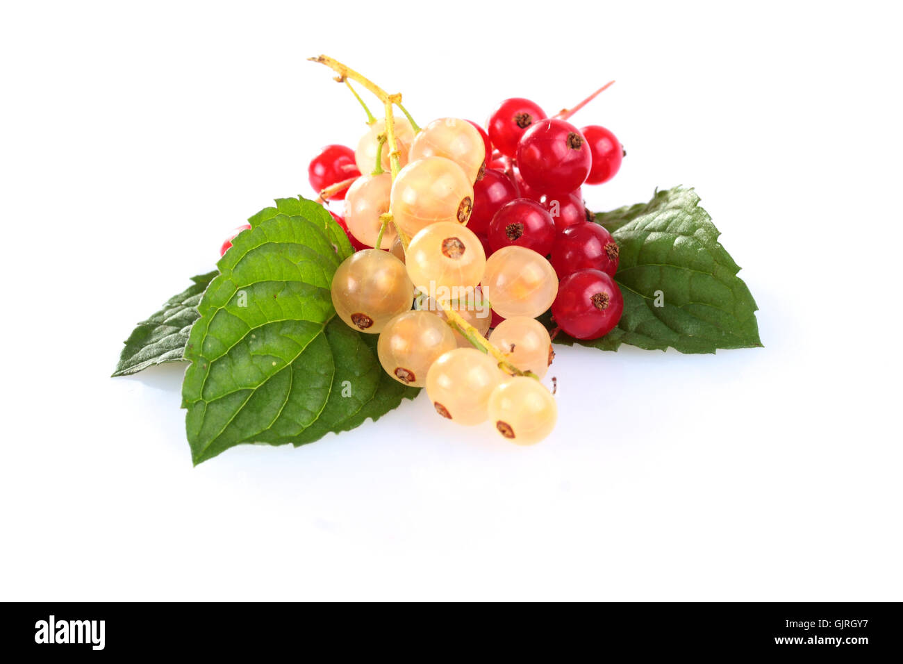 Black and red currants Cut Out Stock Images & Pictures - Alamy