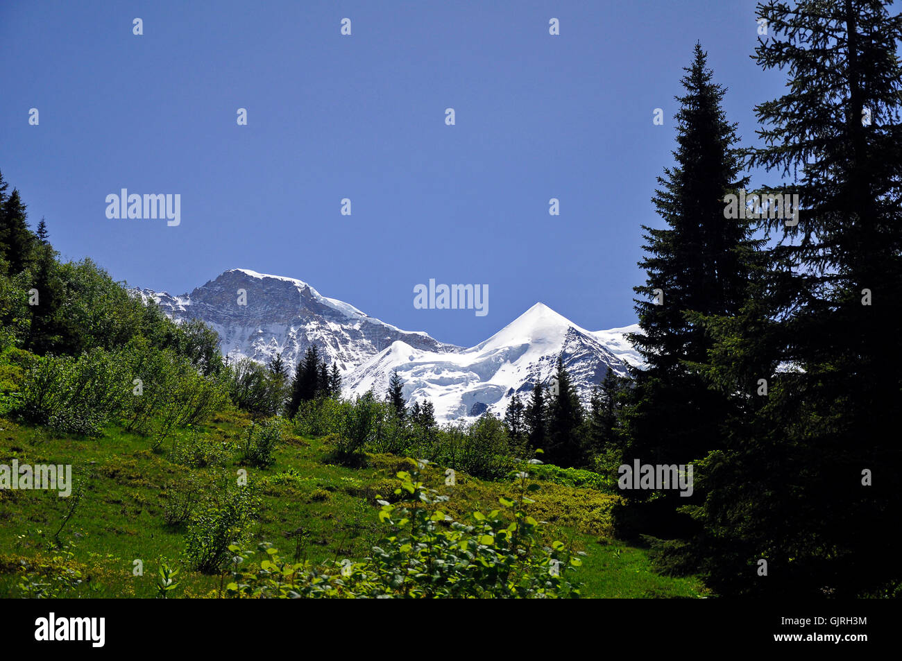 Alp summit hi-res stock photography and images - Alamy