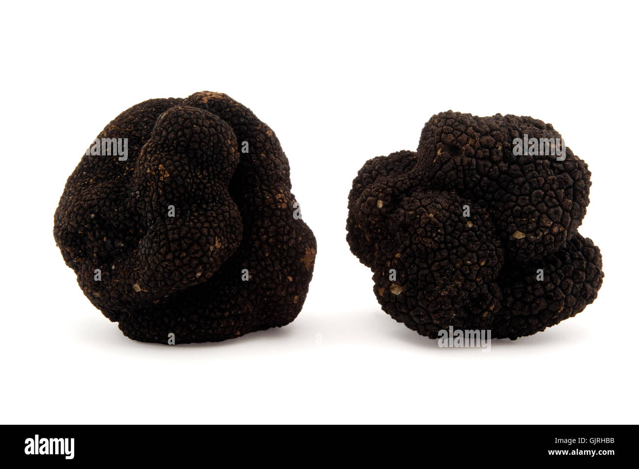 Truffle speciality hi-res stock photography and images - Alamy