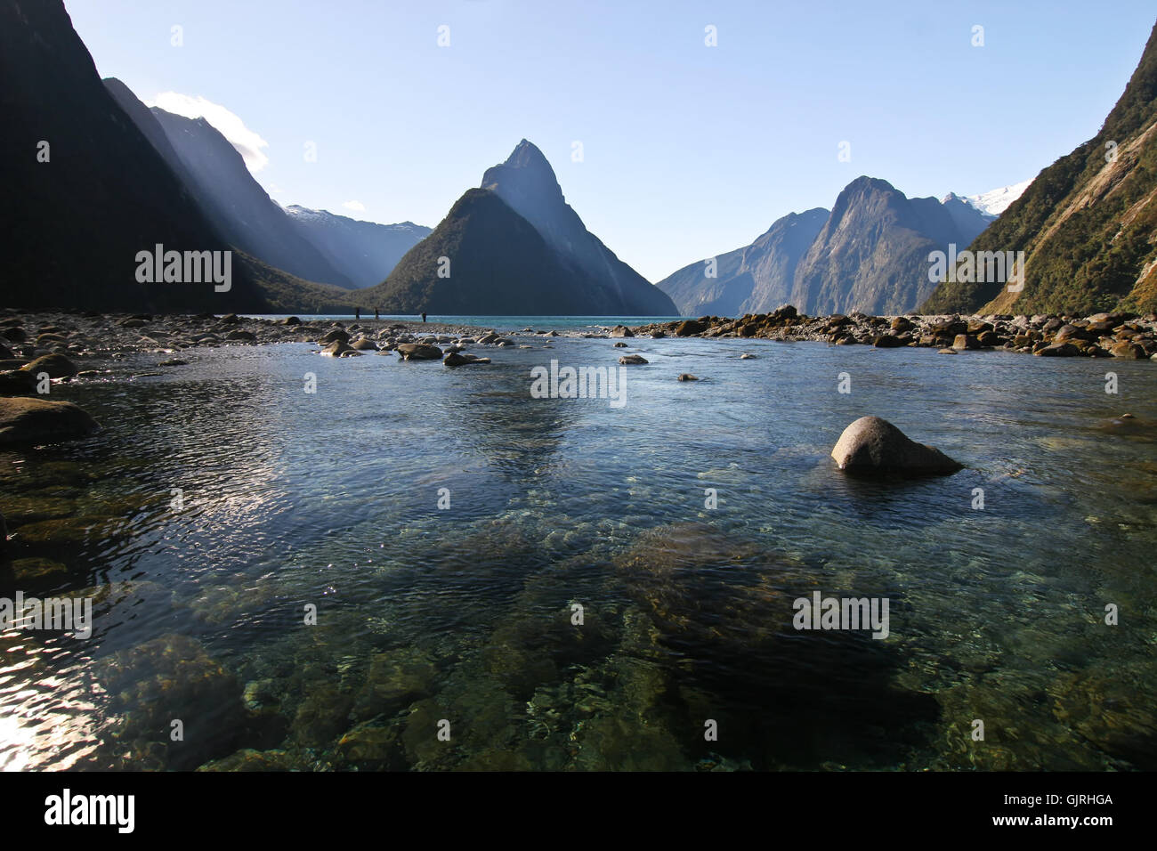 new zealand fjord national park Stock Photo - Alamy