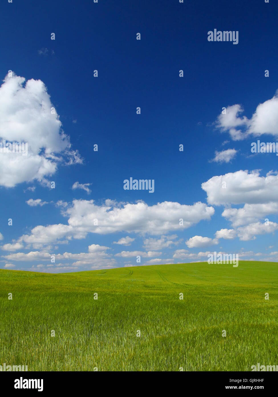 green agriculture farming Stock Photo - Alamy