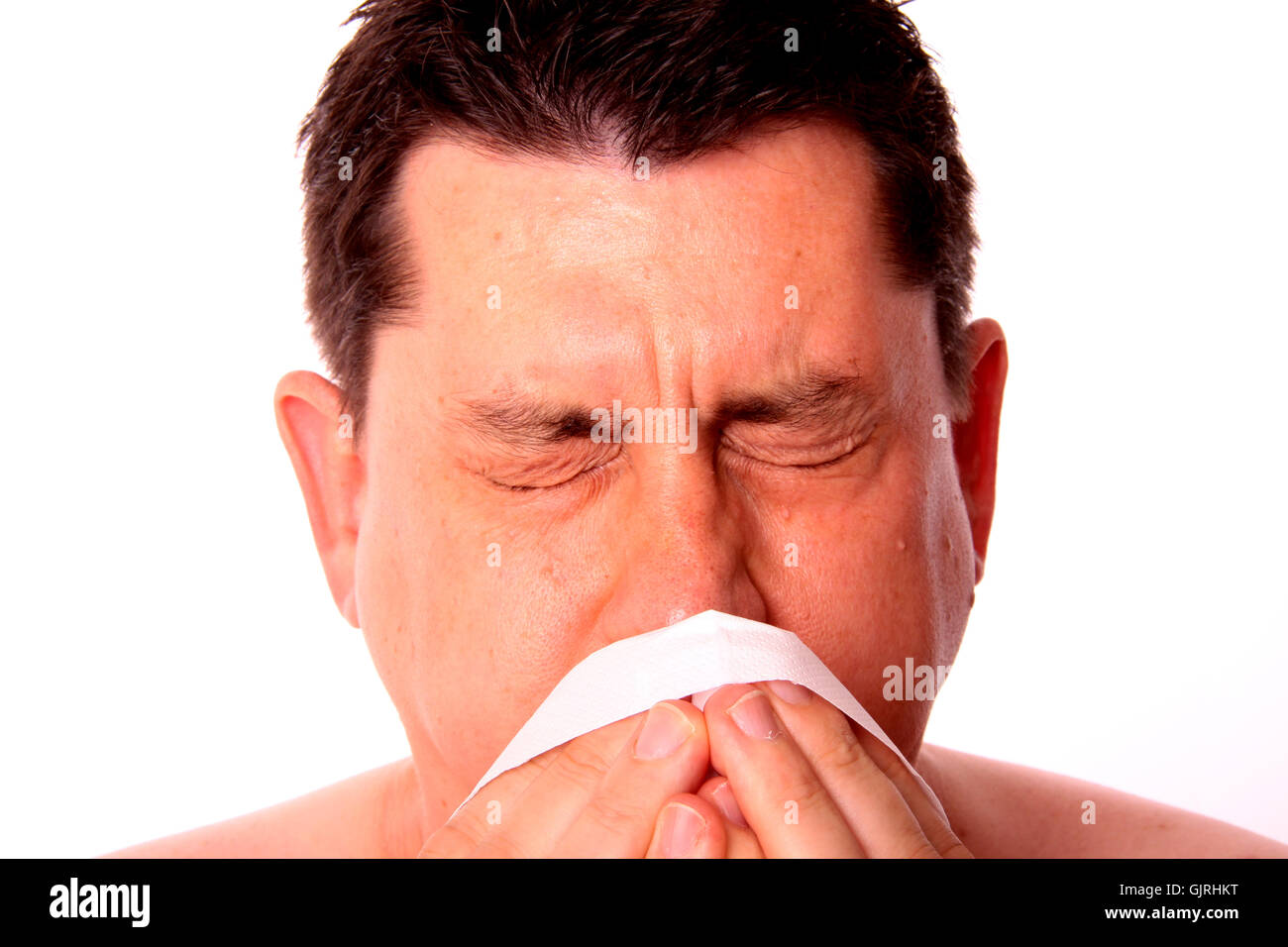 Tissue schnauzen hi-res stock photography and images - Alamy