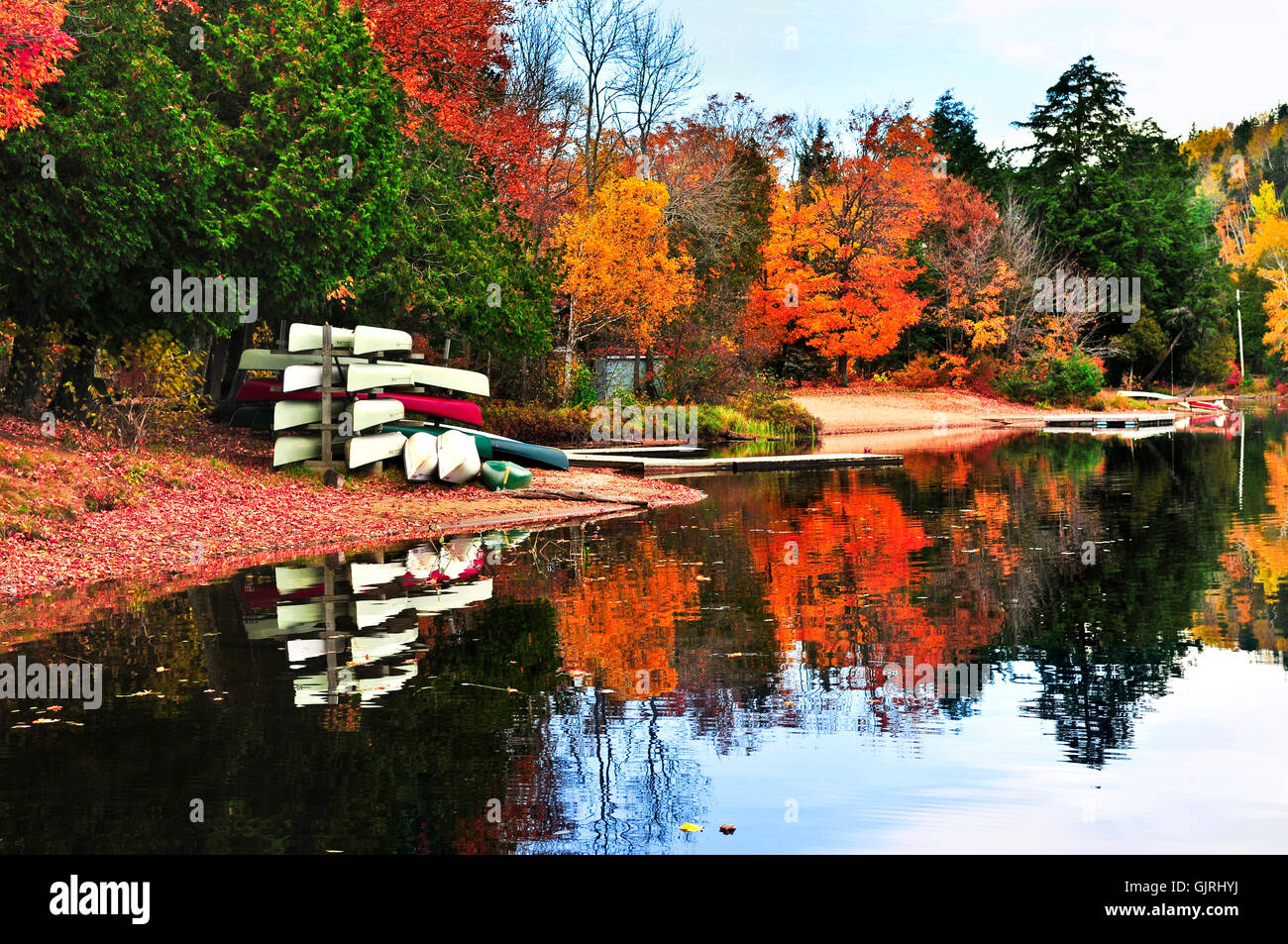 tree trees cottage Stock Photo - Alamy