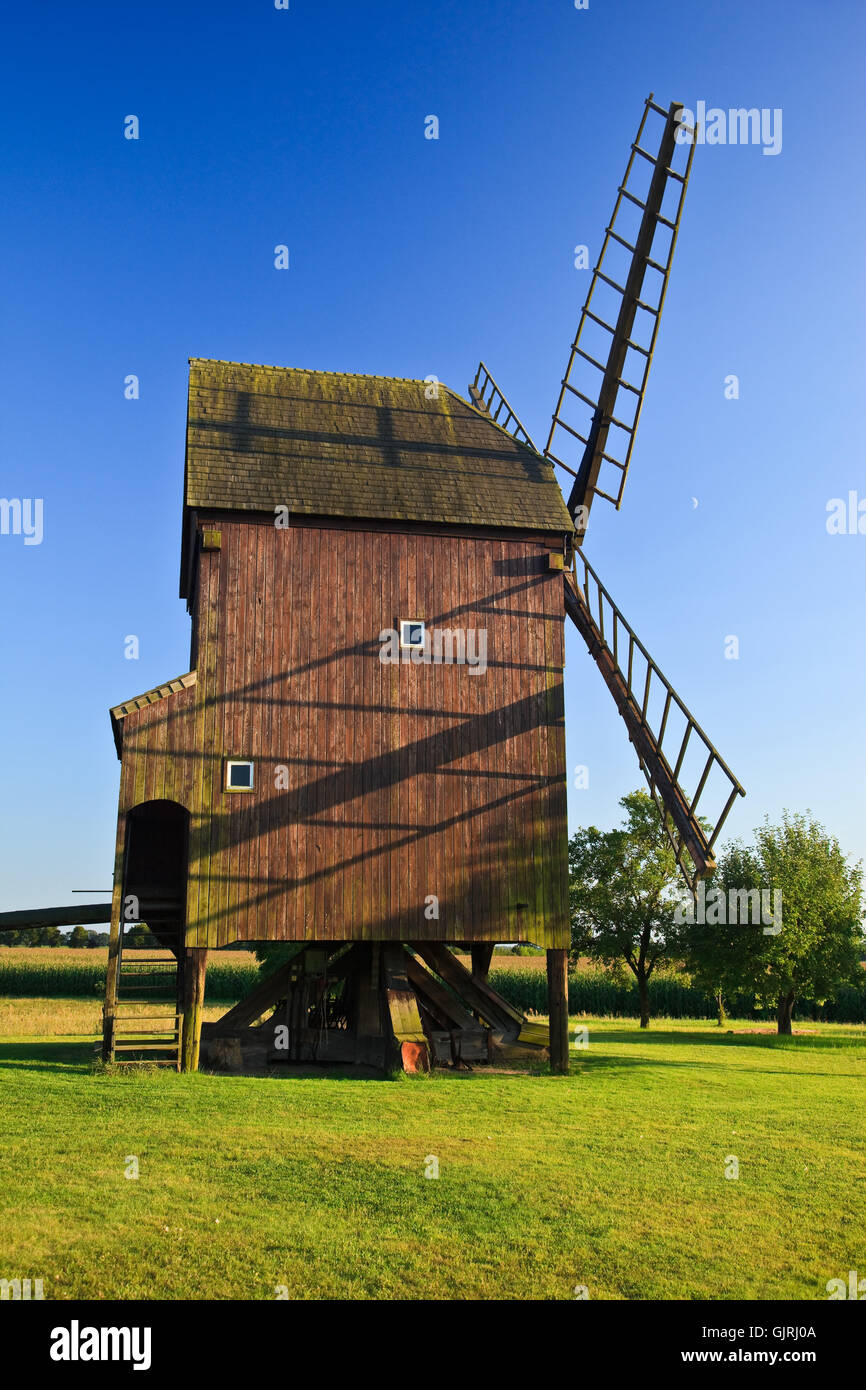 monument tree trees Stock Photo - Alamy