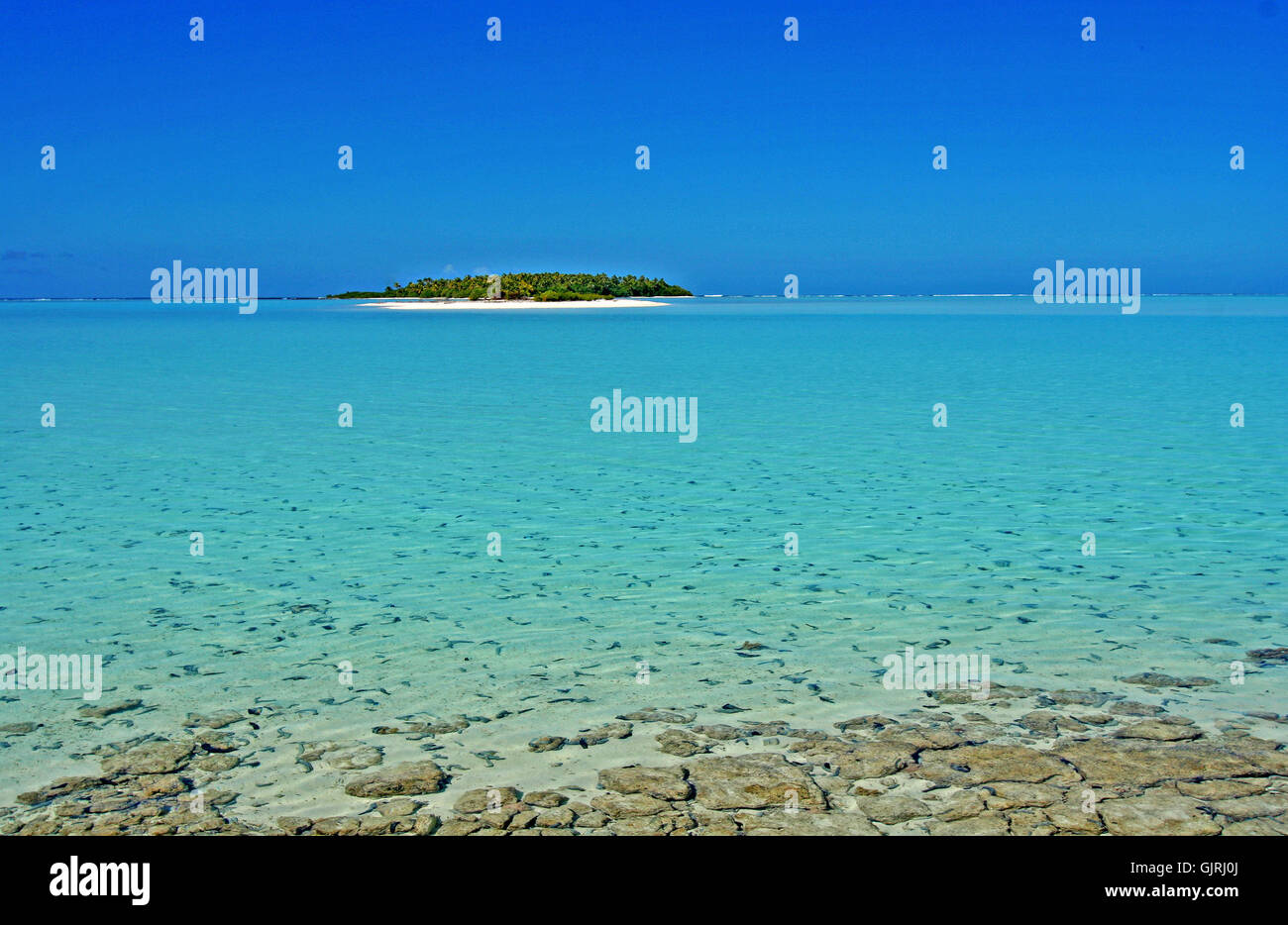 pacific salt water sea Stock Photo - Alamy