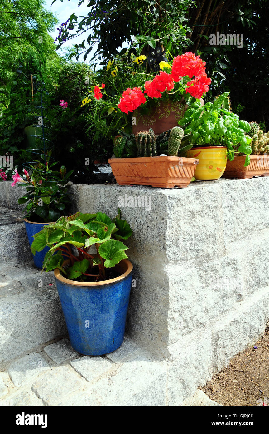 garden plant plaster Stock Photo - Alamy