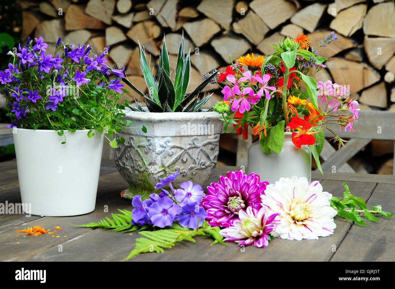 wood flower flowers Stock Photo - Alamy