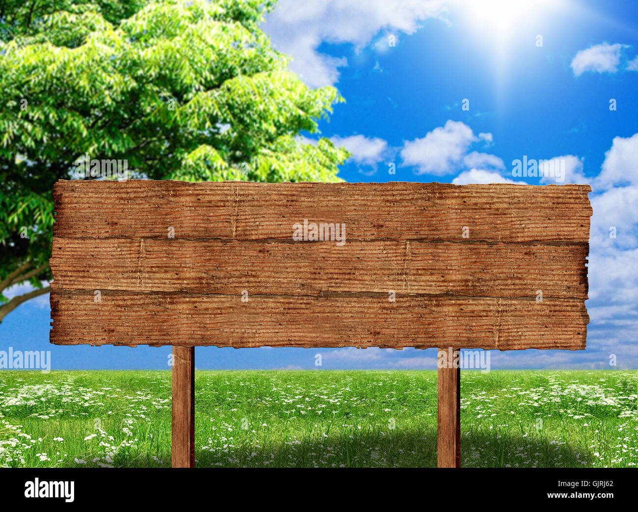 park wood field Stock Photo - Alamy