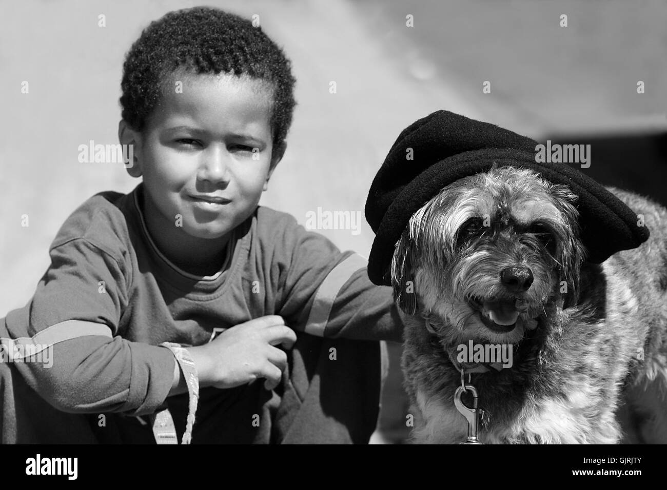 friendship crouch dog Stock Photo - Alamy