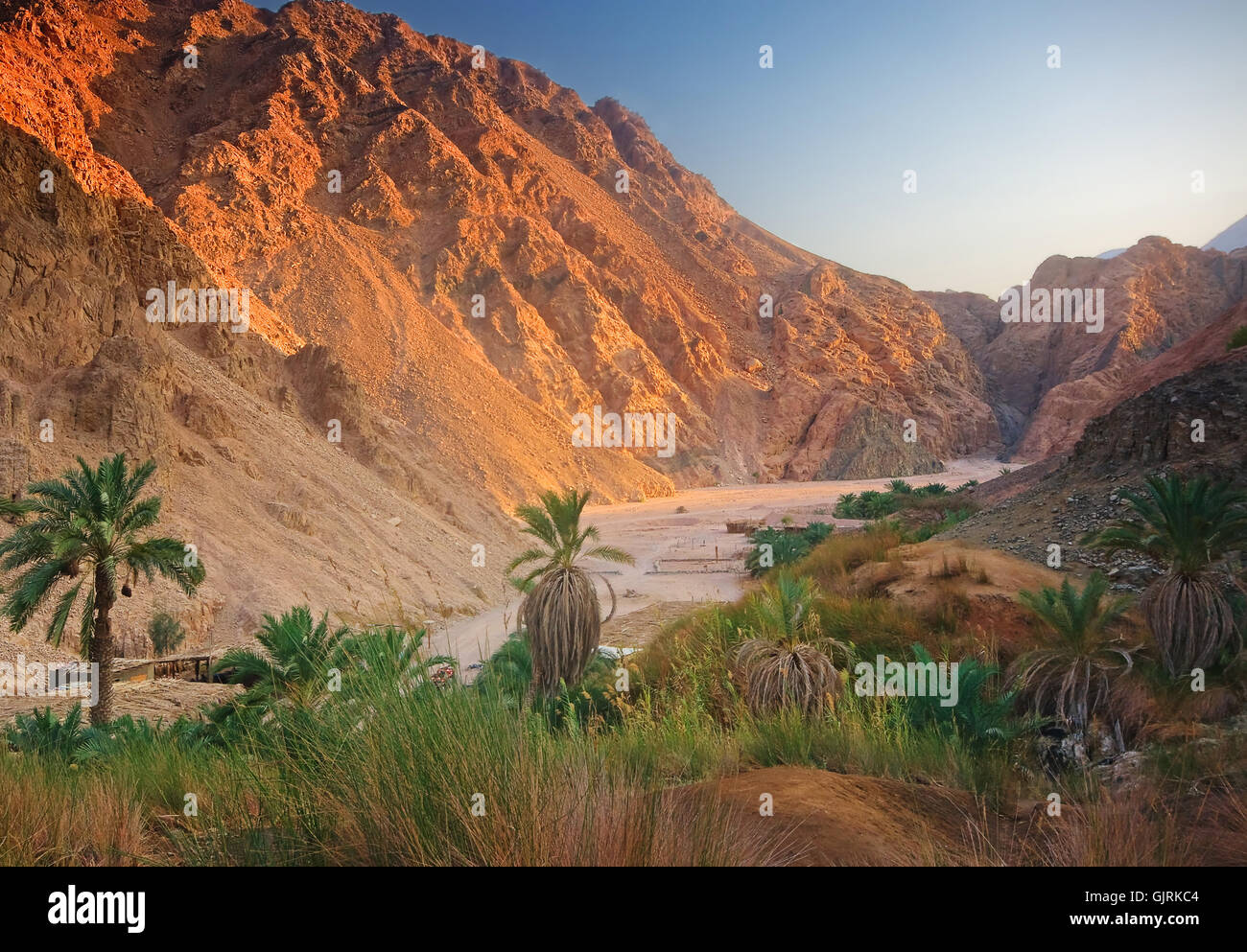 Oasis desert wadi hi-res stock photography and images - Alamy