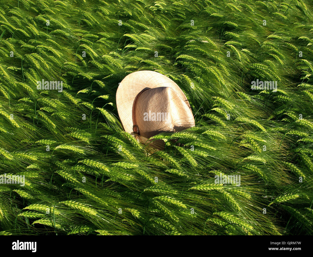relaxation field hat Stock Photo - Alamy