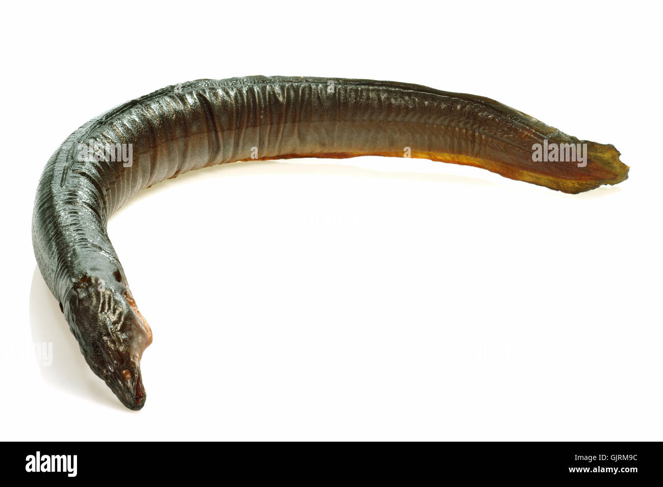 fish delicacy smoked Stock Photo - Alamy