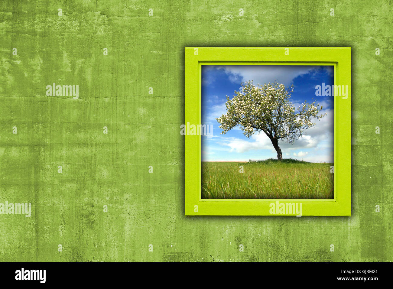 environment enviroment window Stock Photo - Alamy