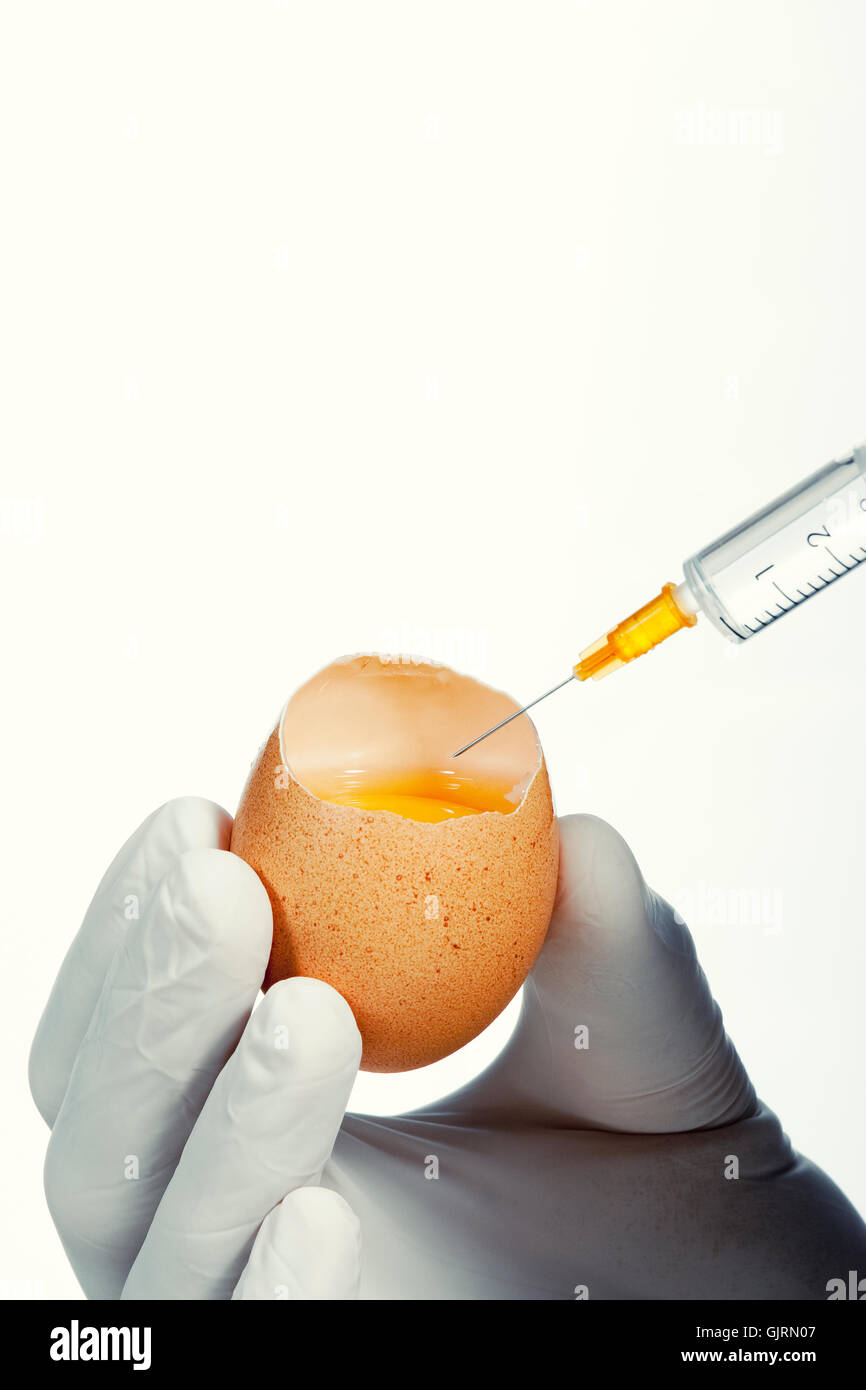 glove egg needle Stock Photo - Alamy