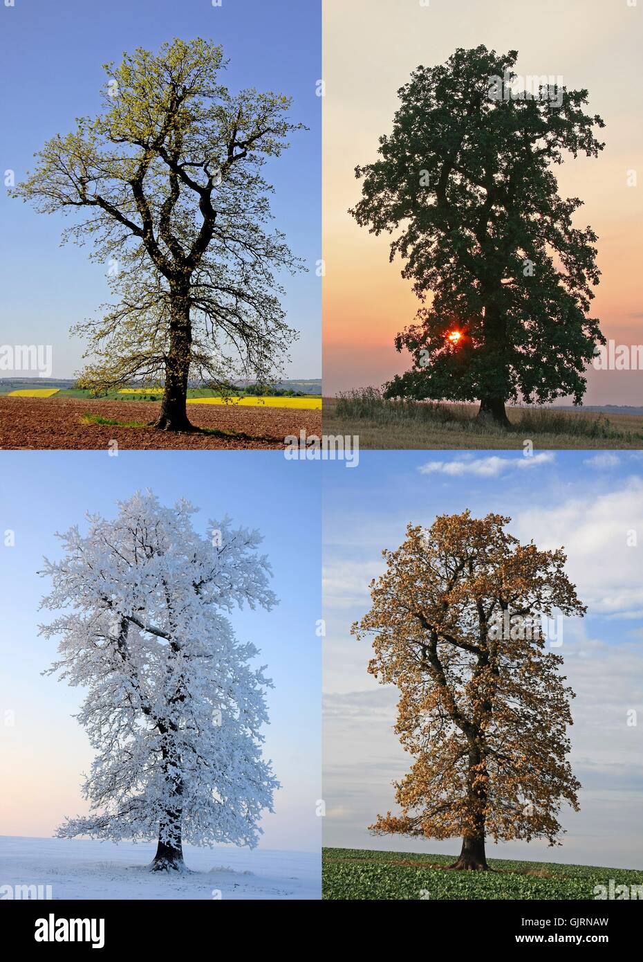 in the seasons change Stock Photo - Alamy