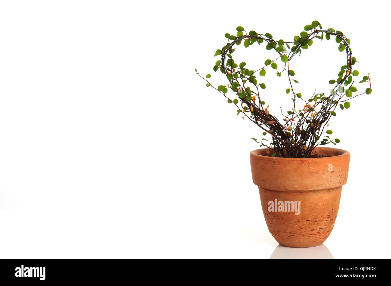 Love gift Cut Out Stock Images & Pictures - Alamy