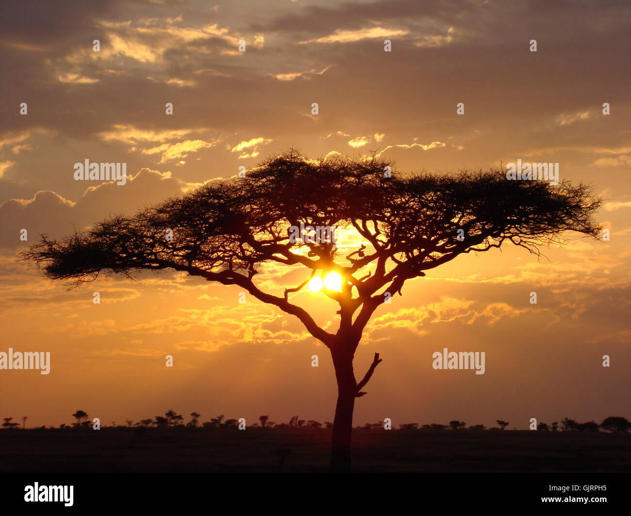 Africa sunrise hi-res stock photography and images - Alamy