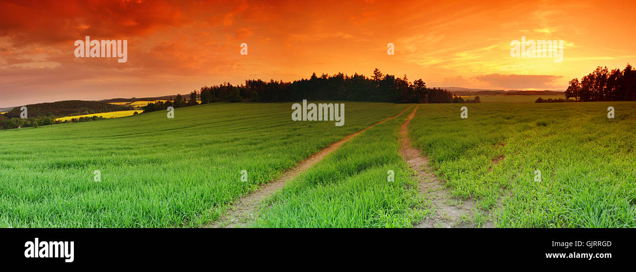 sunset field sight Stock Photo - Alamy