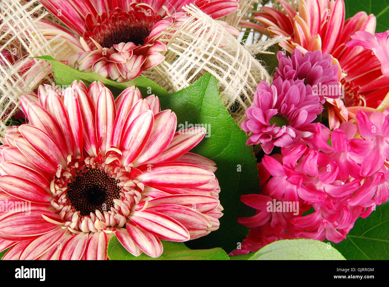 flower flowers plant Stock Photo - Alamy
