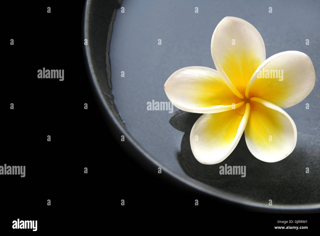 relaxation flower plant Stock Photo - Alamy