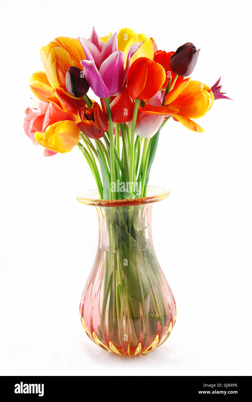 isolated flower flowers Stock Photo - Alamy