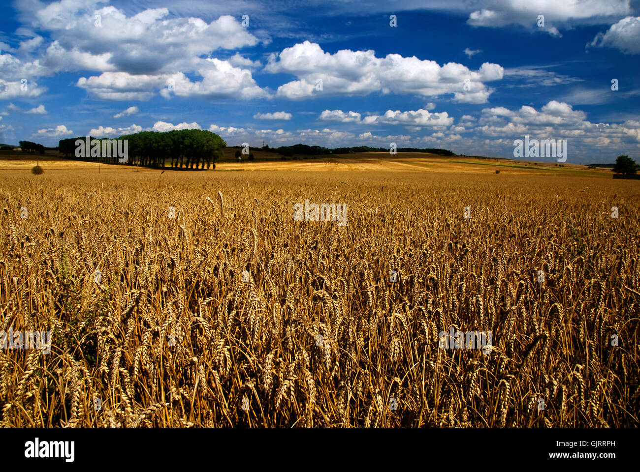 Farming backgrounds hi-res stock photography and images - Alamy