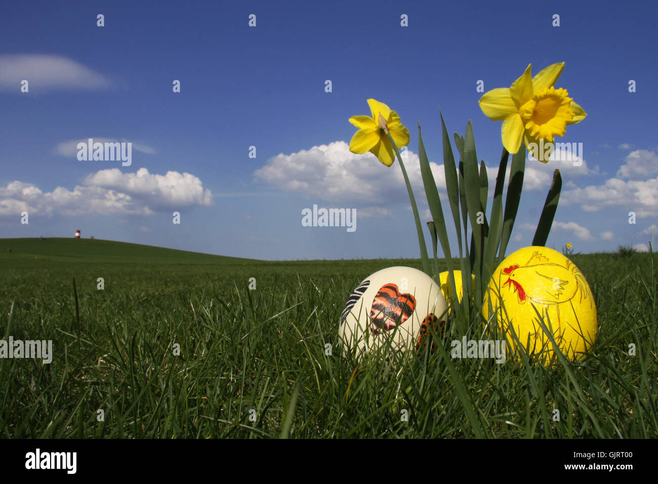Painted ostrich eggs hi-res stock photography and images - Alamy