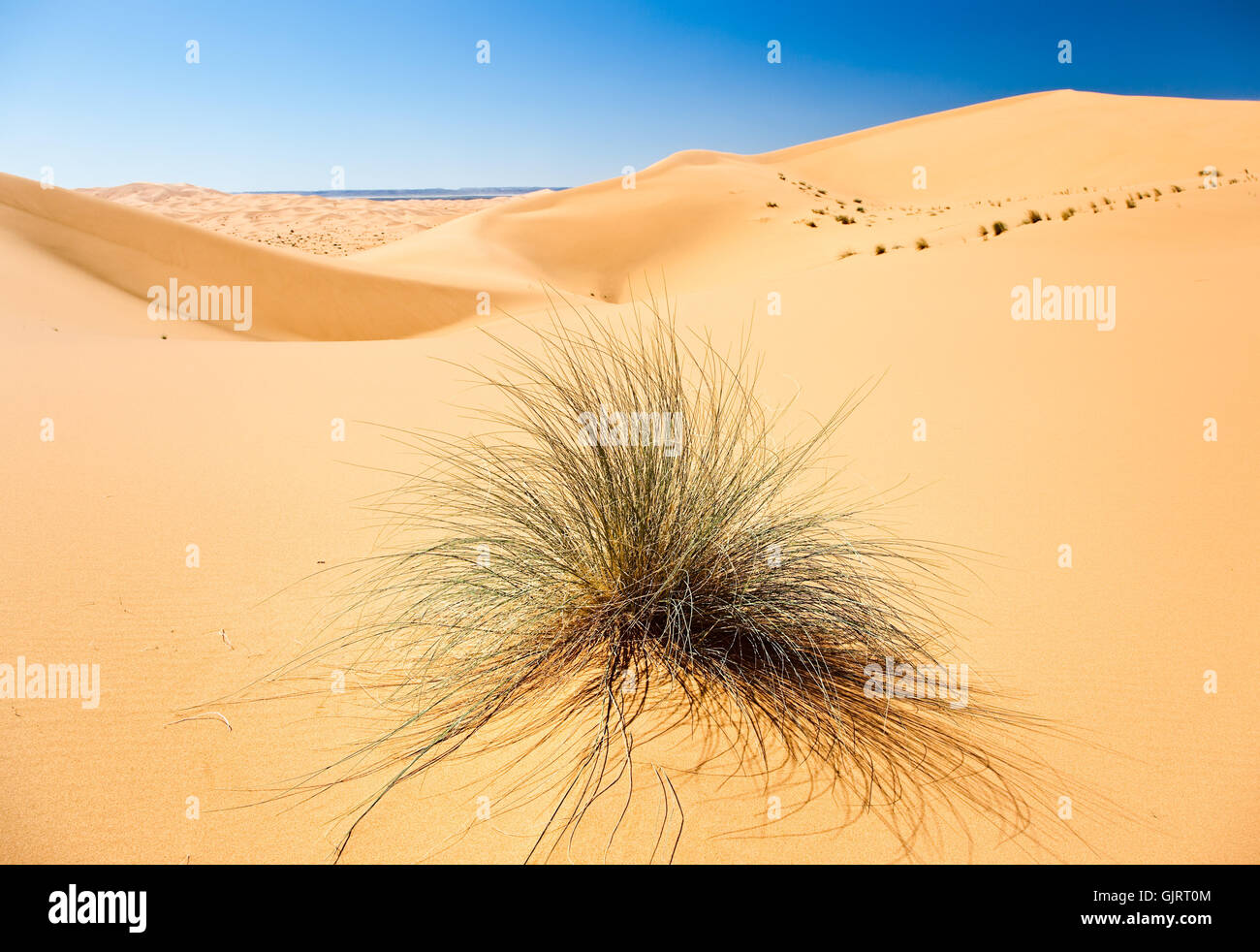 desert wasteland horizontal Stock Photo - Alamy