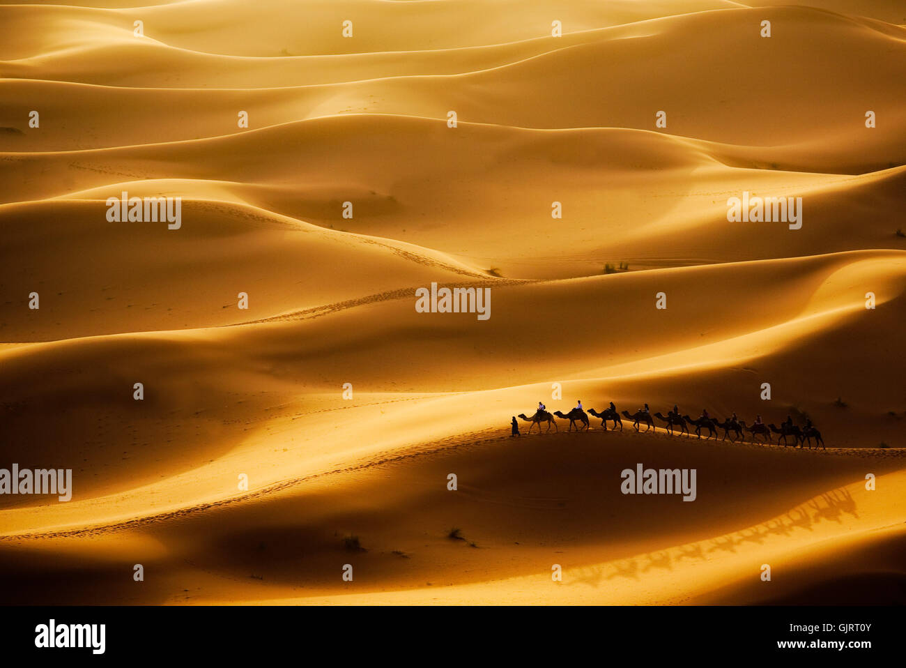 desert wasteland wild Stock Photo - Alamy