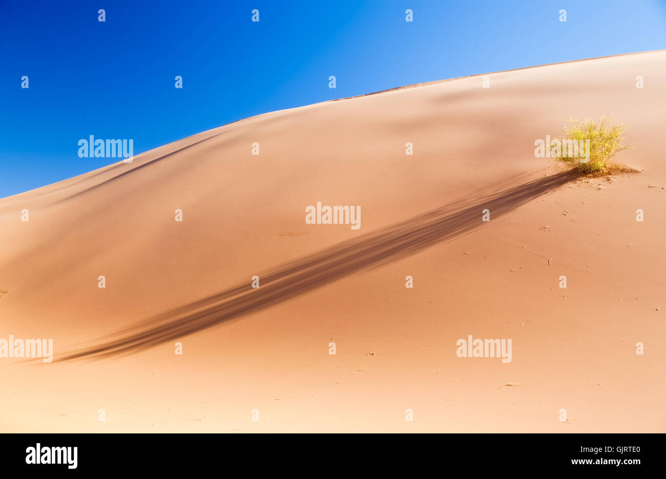 desert wasteland green Stock Photo - Alamy