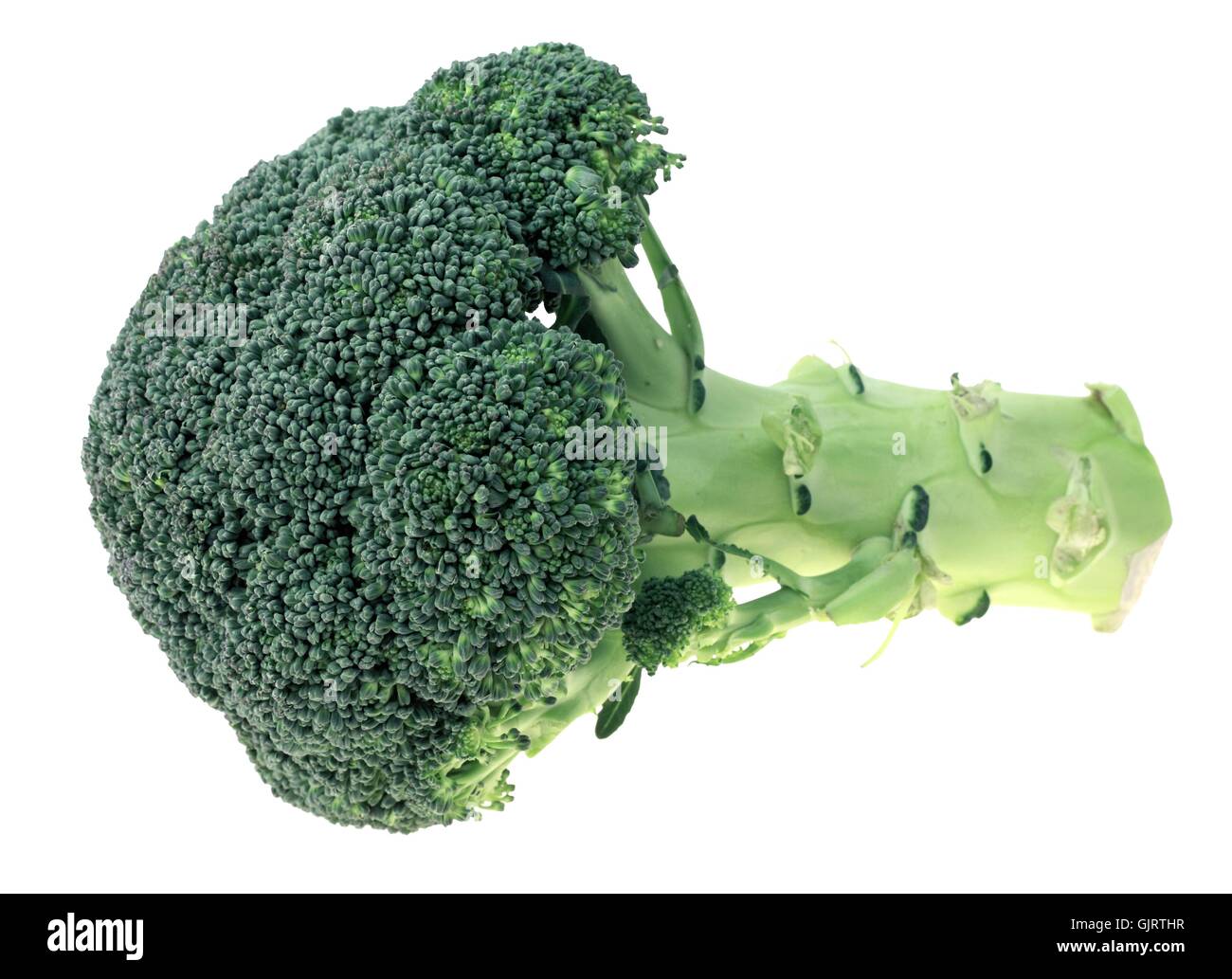 Broccoli leaf hi-res stock photography and images - Alamy