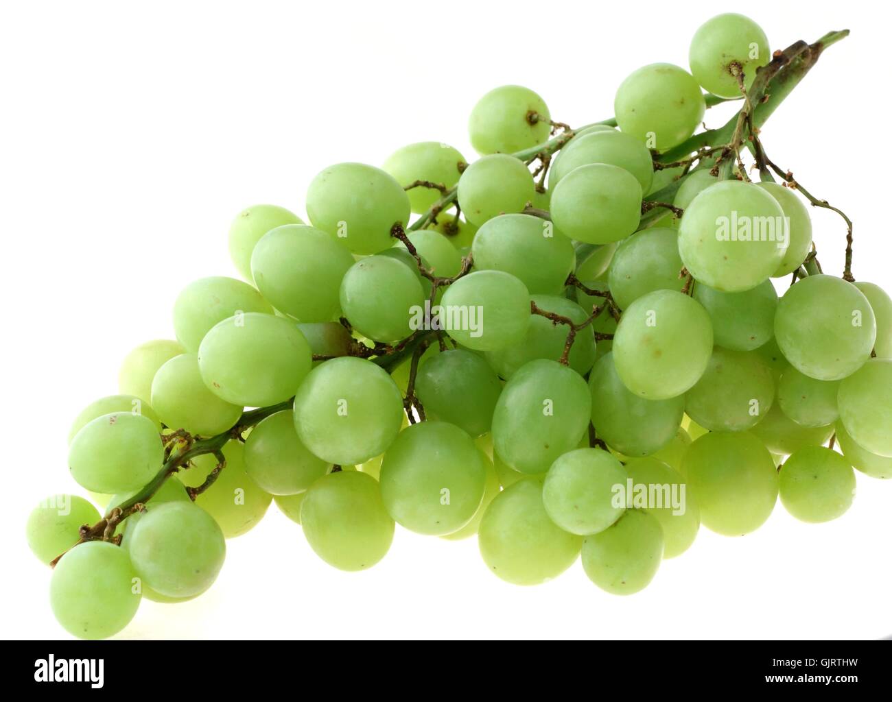 Vine Motif High Resolution Stock Photography and Images - Alamy