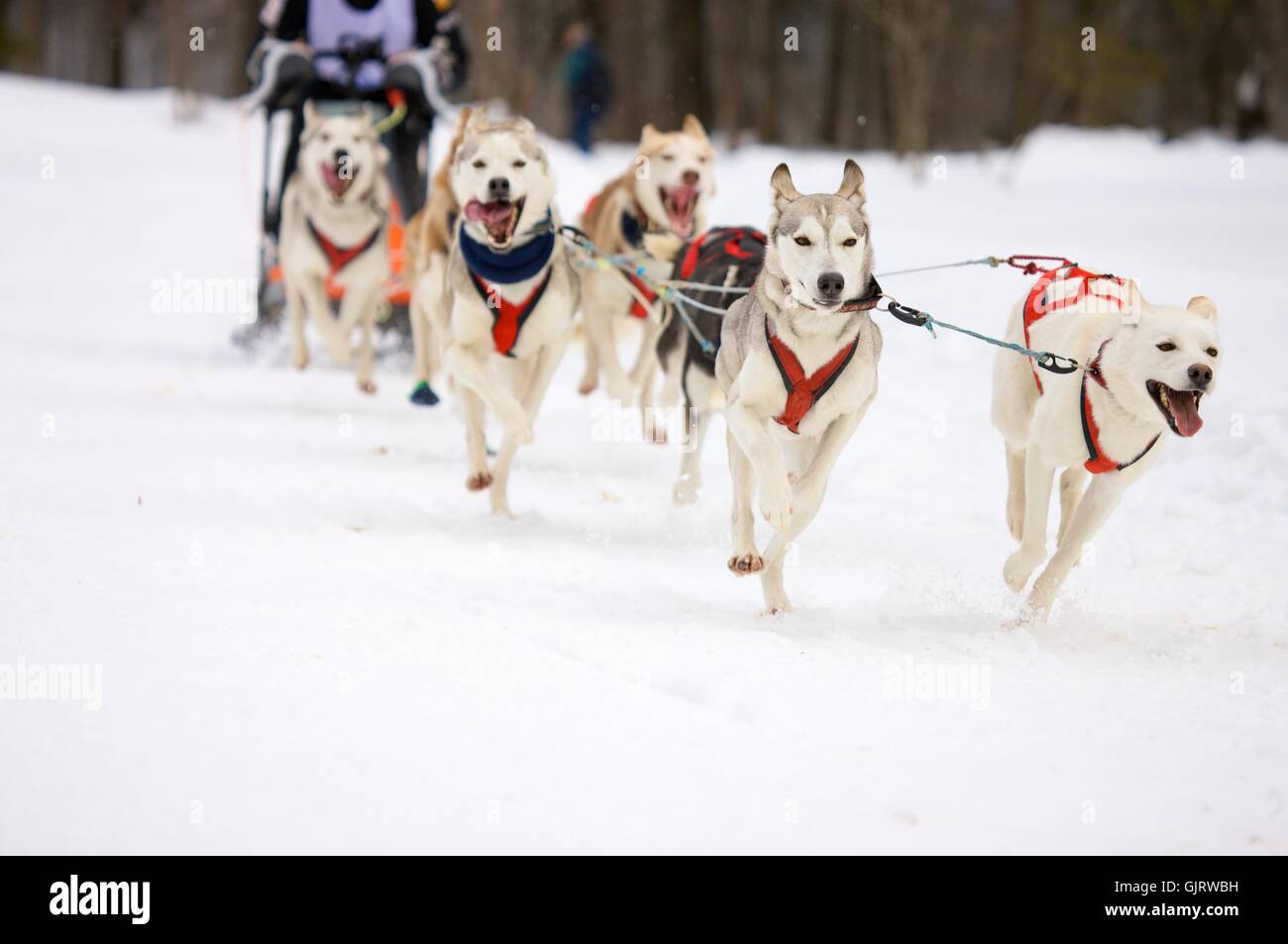 mush ice mouth Stock Photo - Alamy