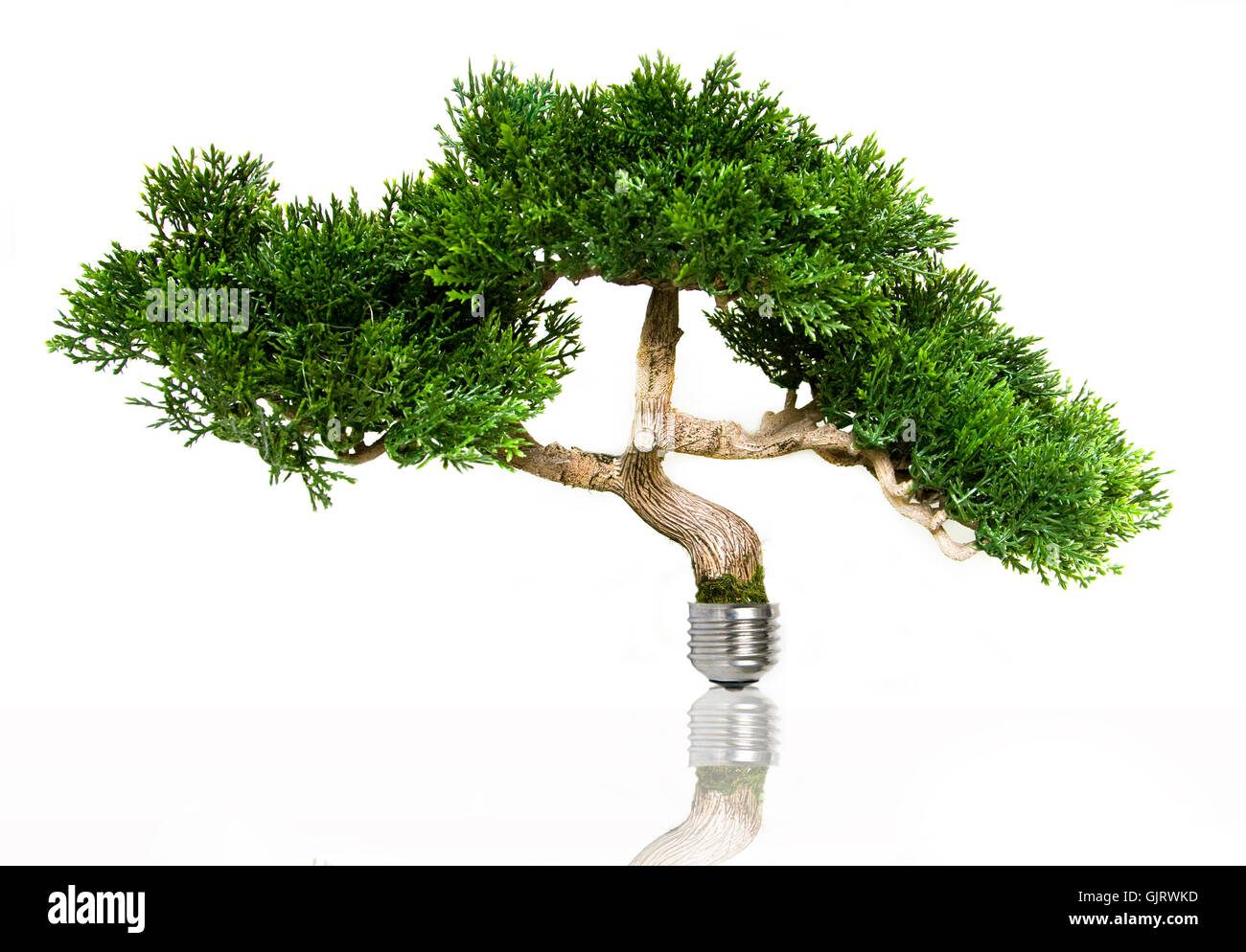 environment enviroment tree Stock Photo - Alamy